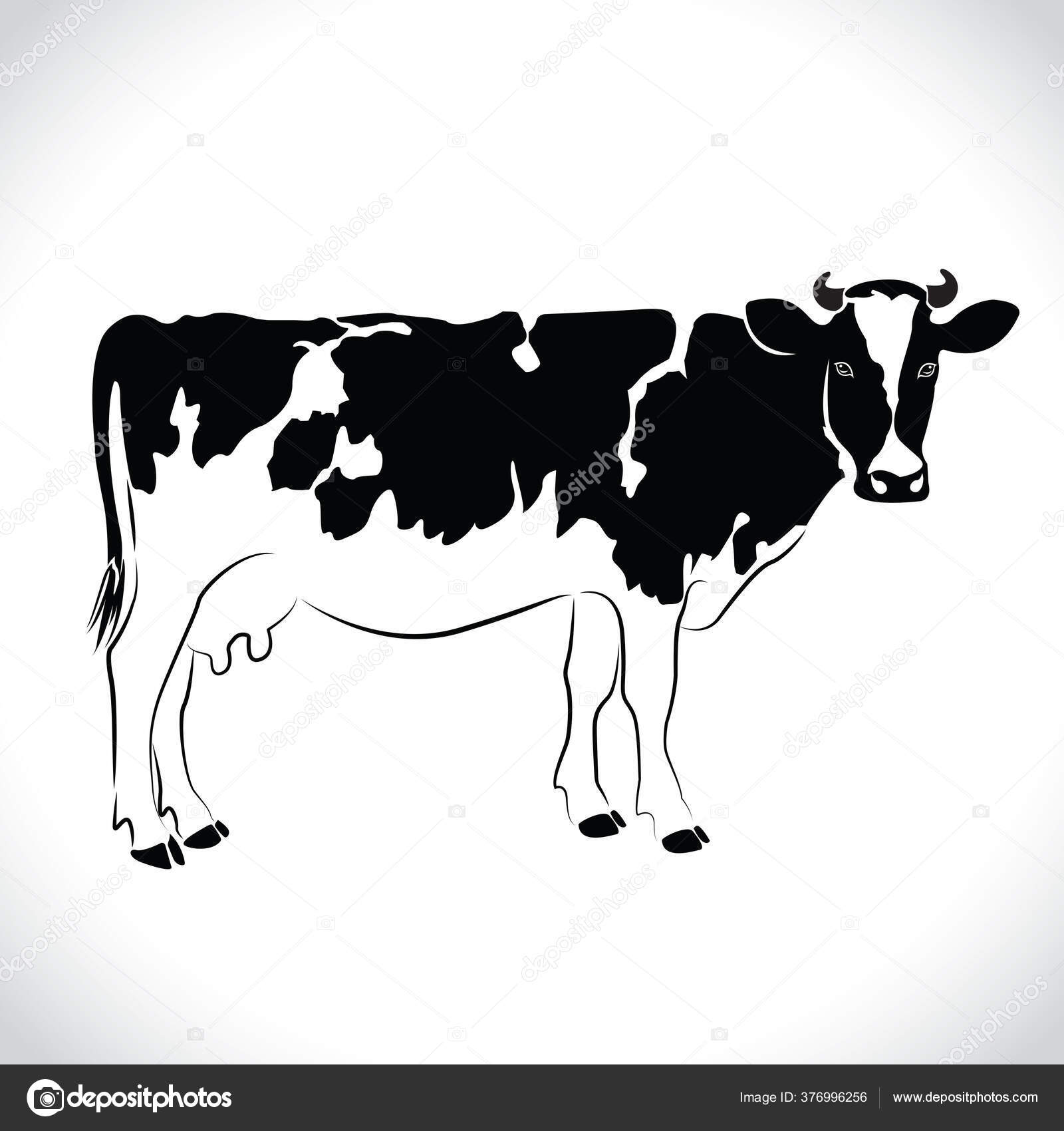 Cow Layout