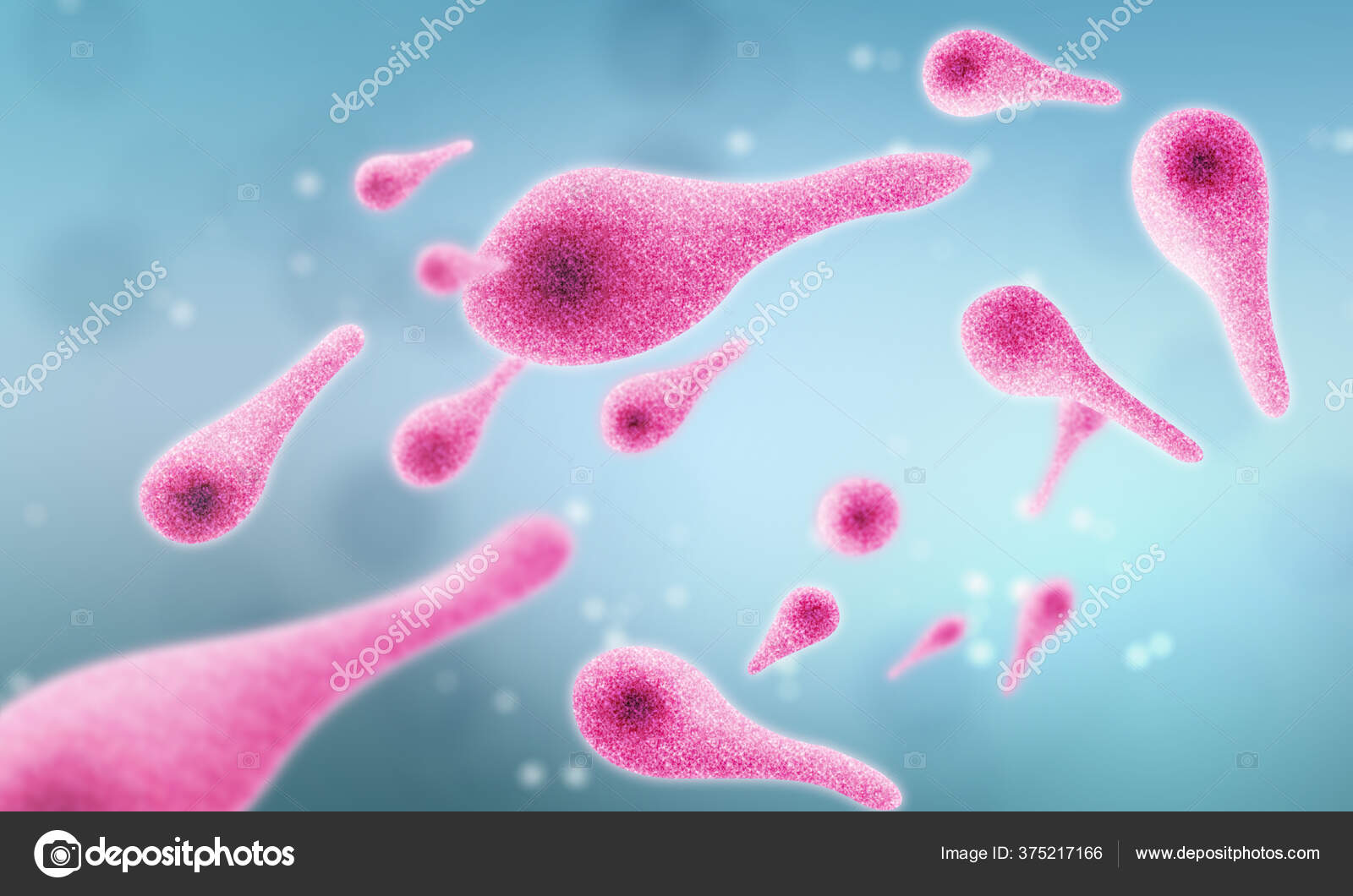 Clostridium Tetani Electron Micrograph
