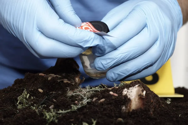 Forensic entomology Stock Photos, Royalty Free Forensic entomology ...