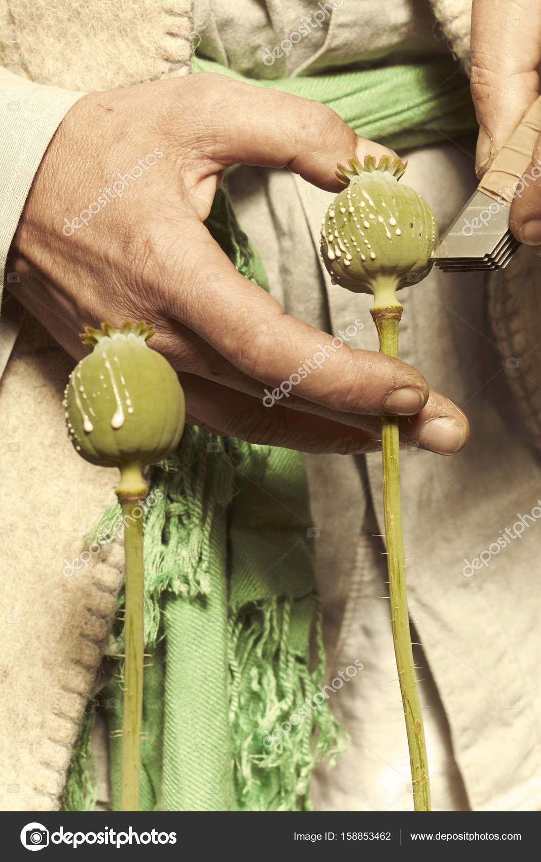 Opium Harvesting Tools