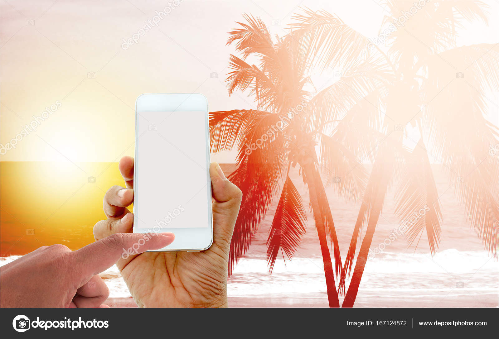 Hand Hold Touch Screen Smart Phone Coconut Palm Trees Burst — Stock ...