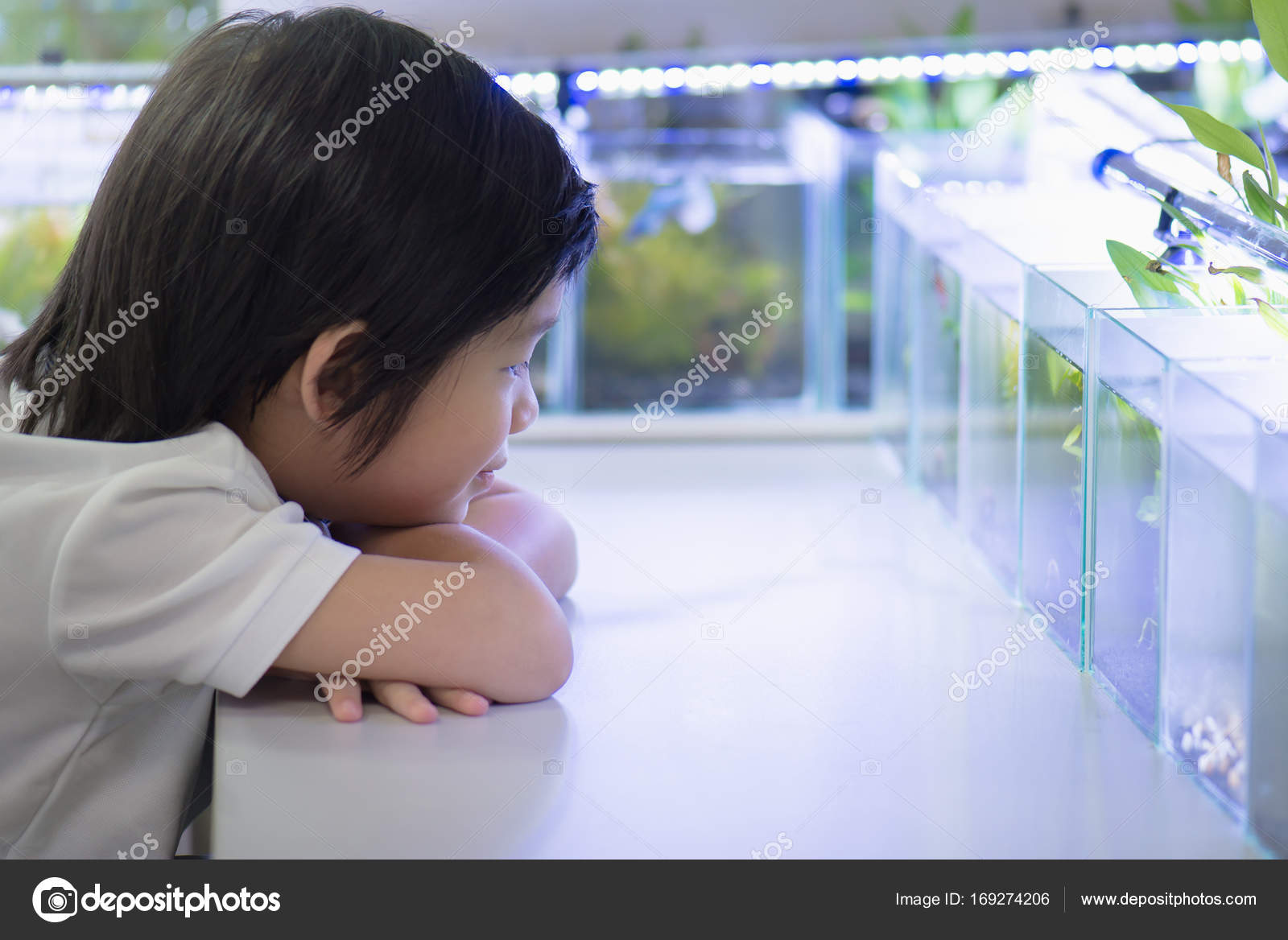 Cute Asian Child Enjoy Watching Fish Tank Table Stock Photo by ...