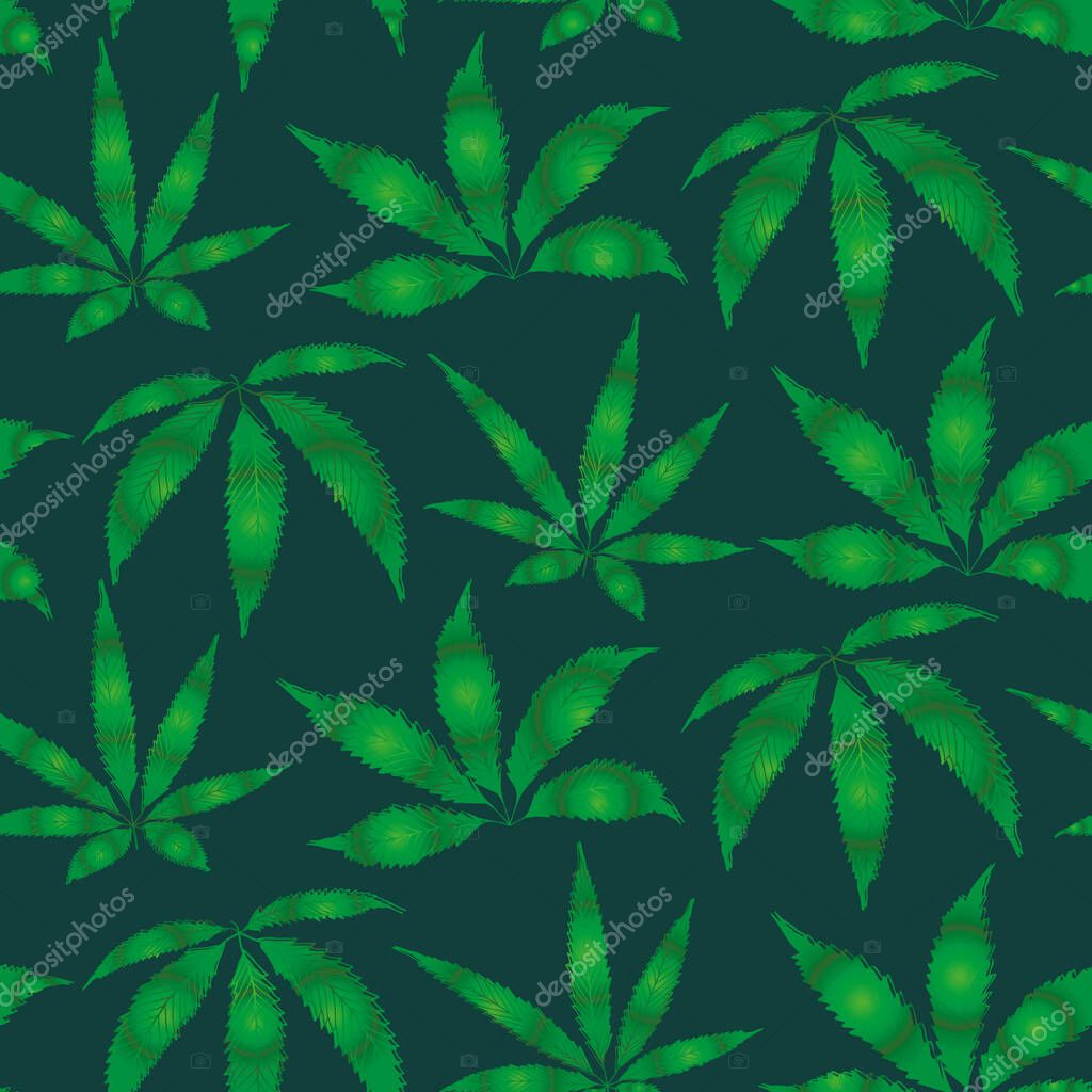 El cannabis deja un fondo de patrón vectorial sin costuras. Fondo de follaje de cáñamo negro y ...
