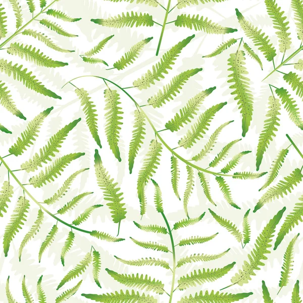 100,000 Fern white background Vector Images | Depositphotos