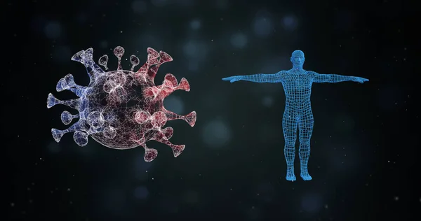 Human immune system Stock Photos, Royalty Free Human immune system ...