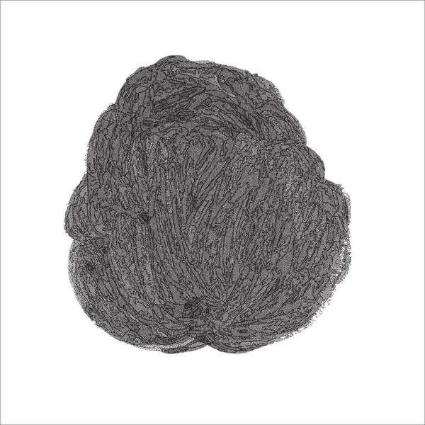 100,000 Wool sketch Vector Images | Depositphotos