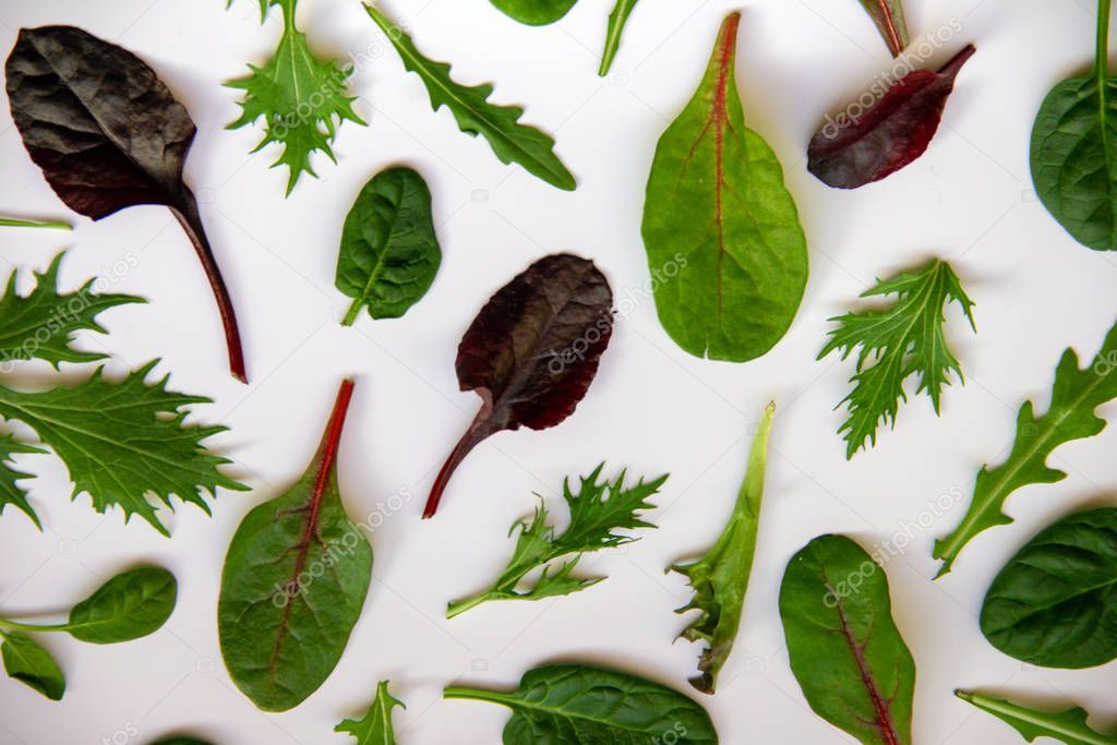 Surtido con rúcula, mongold, espinacas, lechuga sobre fondo blanco ...