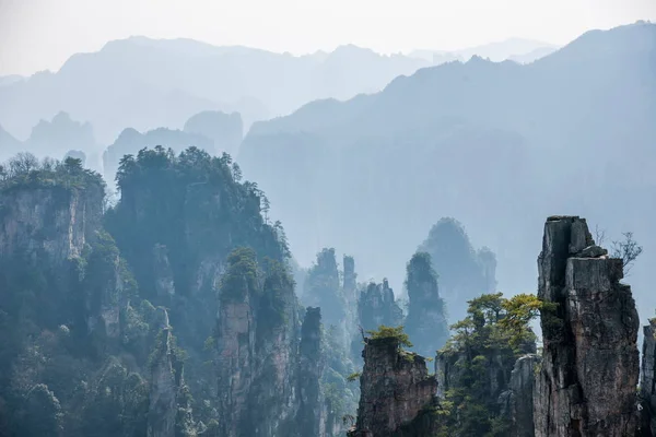 Hunan Zhangjiajie National Forest Park Shentang Bay landscape — Stock ...