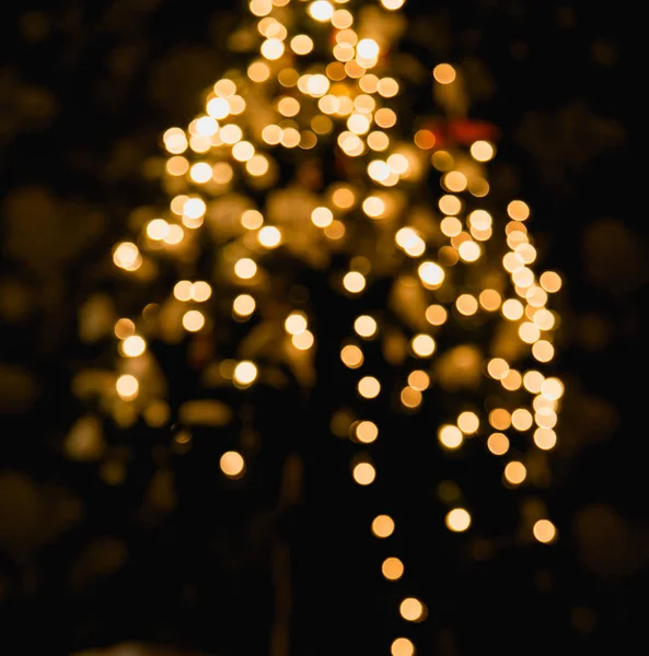 Ambient scene with Christmas tree on dark background - Stock Image ...
