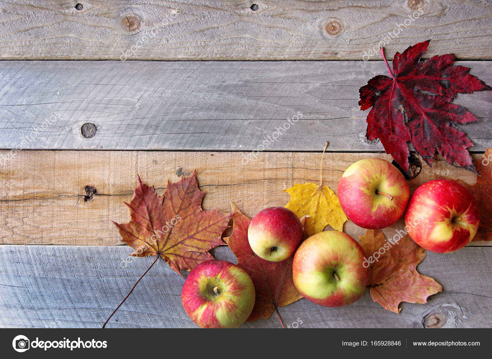 Rustic Fall Decor of Maple Leaves and Apples Frame A Weathered W Stock ...