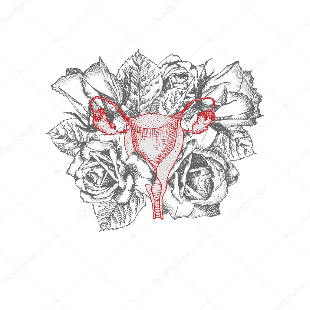Útero con rosas ramo Icono realista dibujado a mano de órgano interno ...