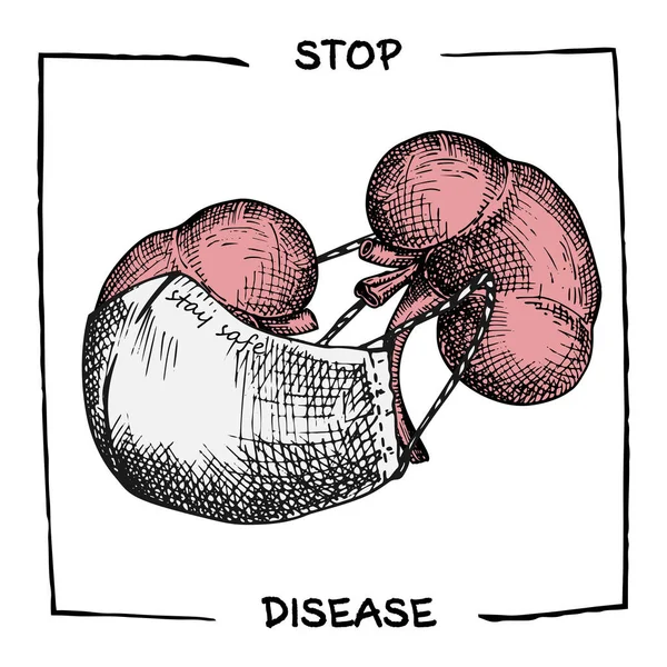 Pancreas Realistic Hand Drawn Icon Human Internal Organs Line Art ...