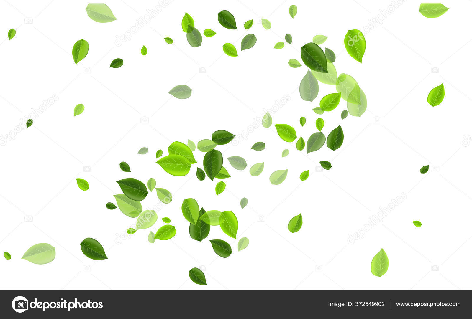 Green Leaves Falling From Tree