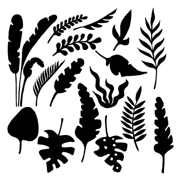 Jungle Vector Black And White
