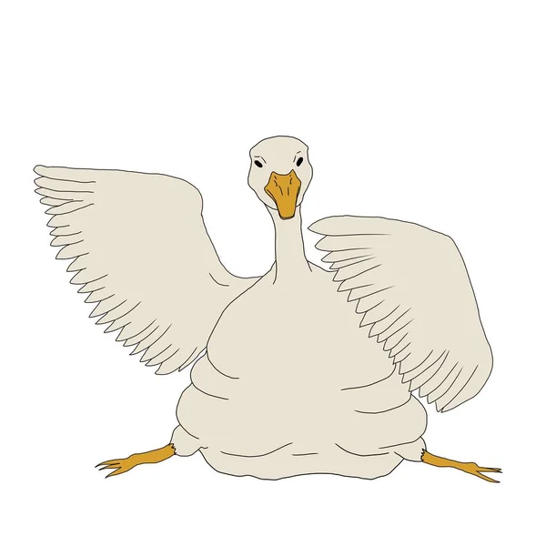 Liba rajz Stock fotók, Liba rajz Jogdíjmentes képek | Depositphotos