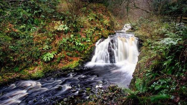 Waterfall Trail at Glenariff Forest Park, County Antrim. Hiking in ...