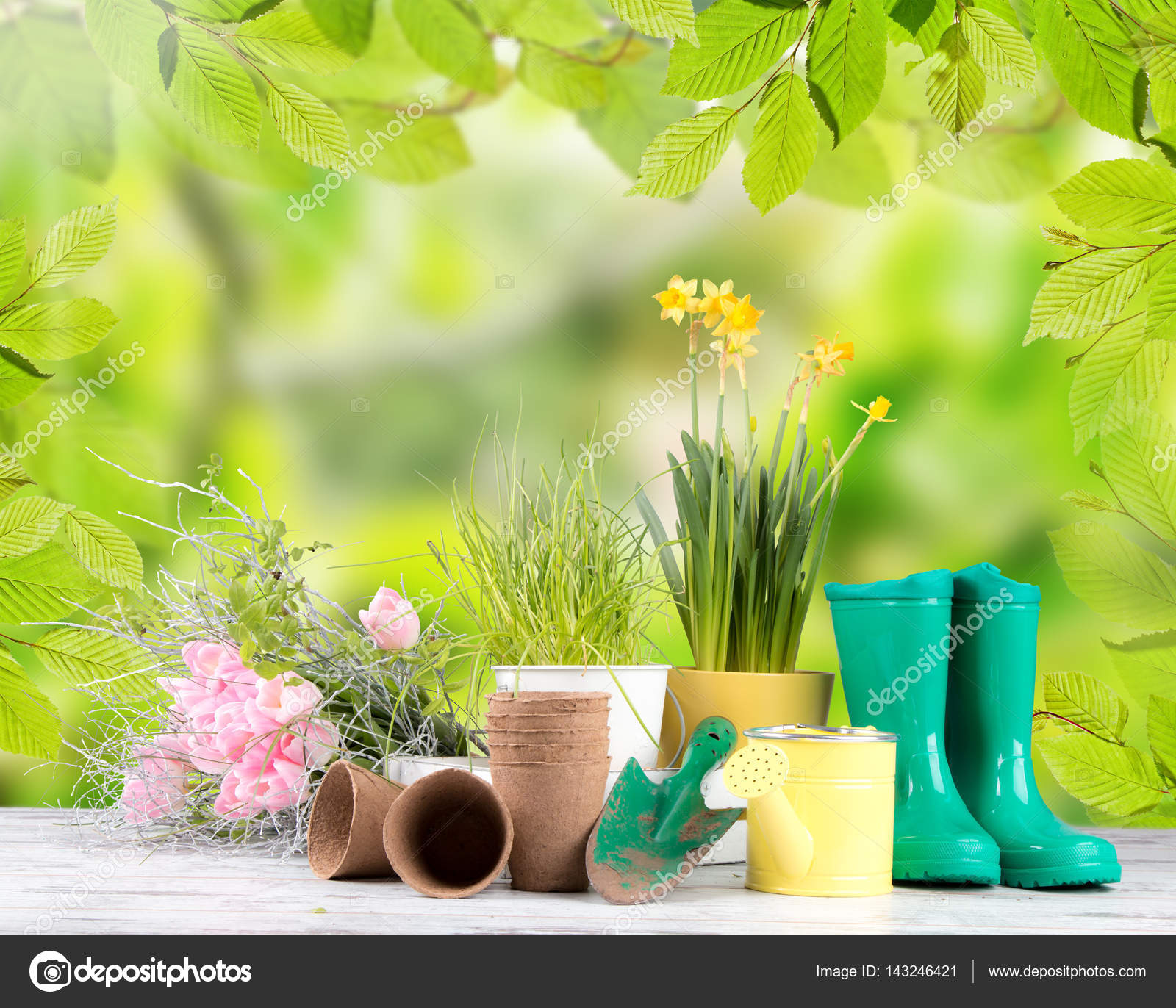 Garden tolls and spring seedling Stock Photo by ©habovka 143246421