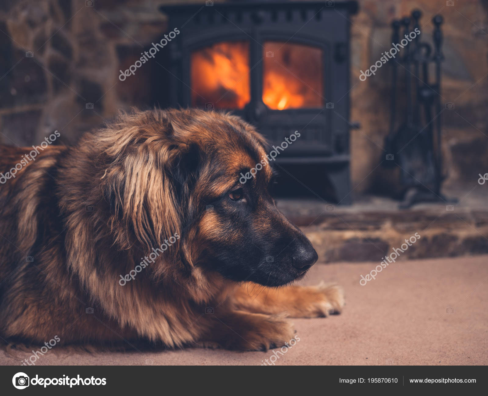 Big Dog Relaxing Fire Log Burner Stock Photo by ©lofilolo 195870610