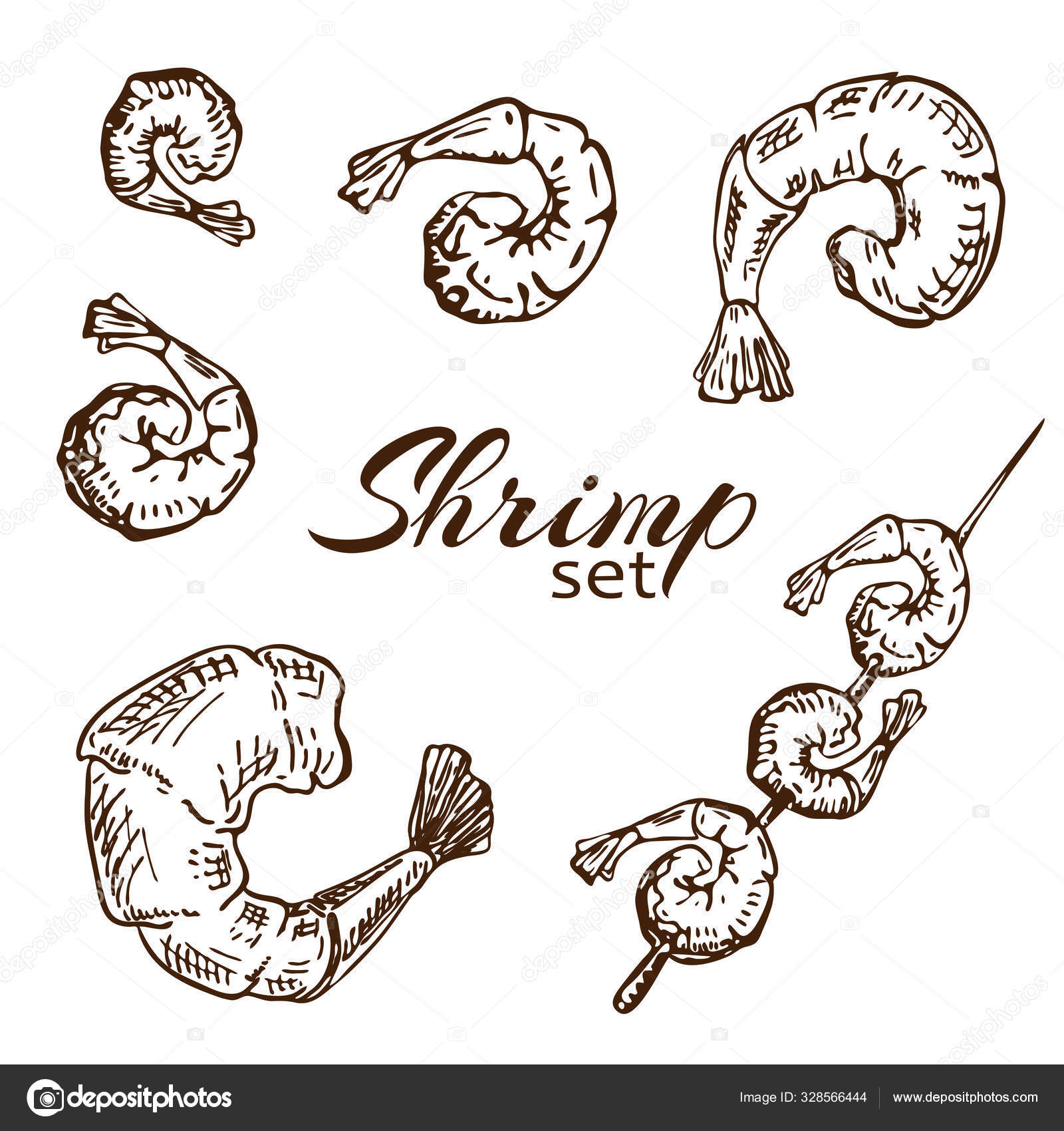 Shrimp Drawing Outline