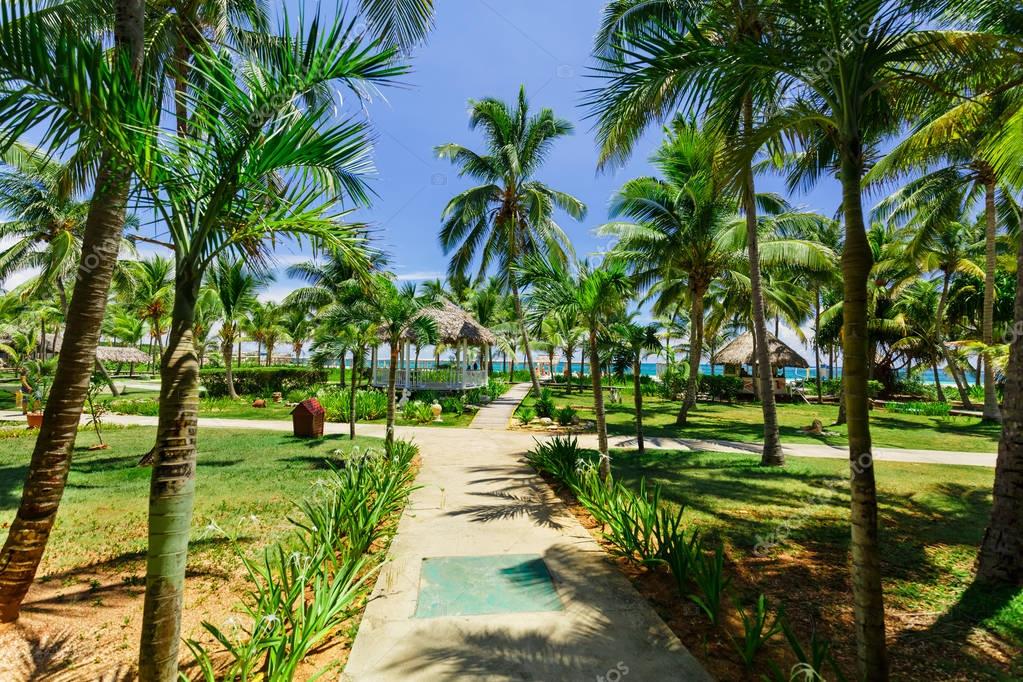 Inviting view of hotel grounds in tropical garden leading to the beach ...