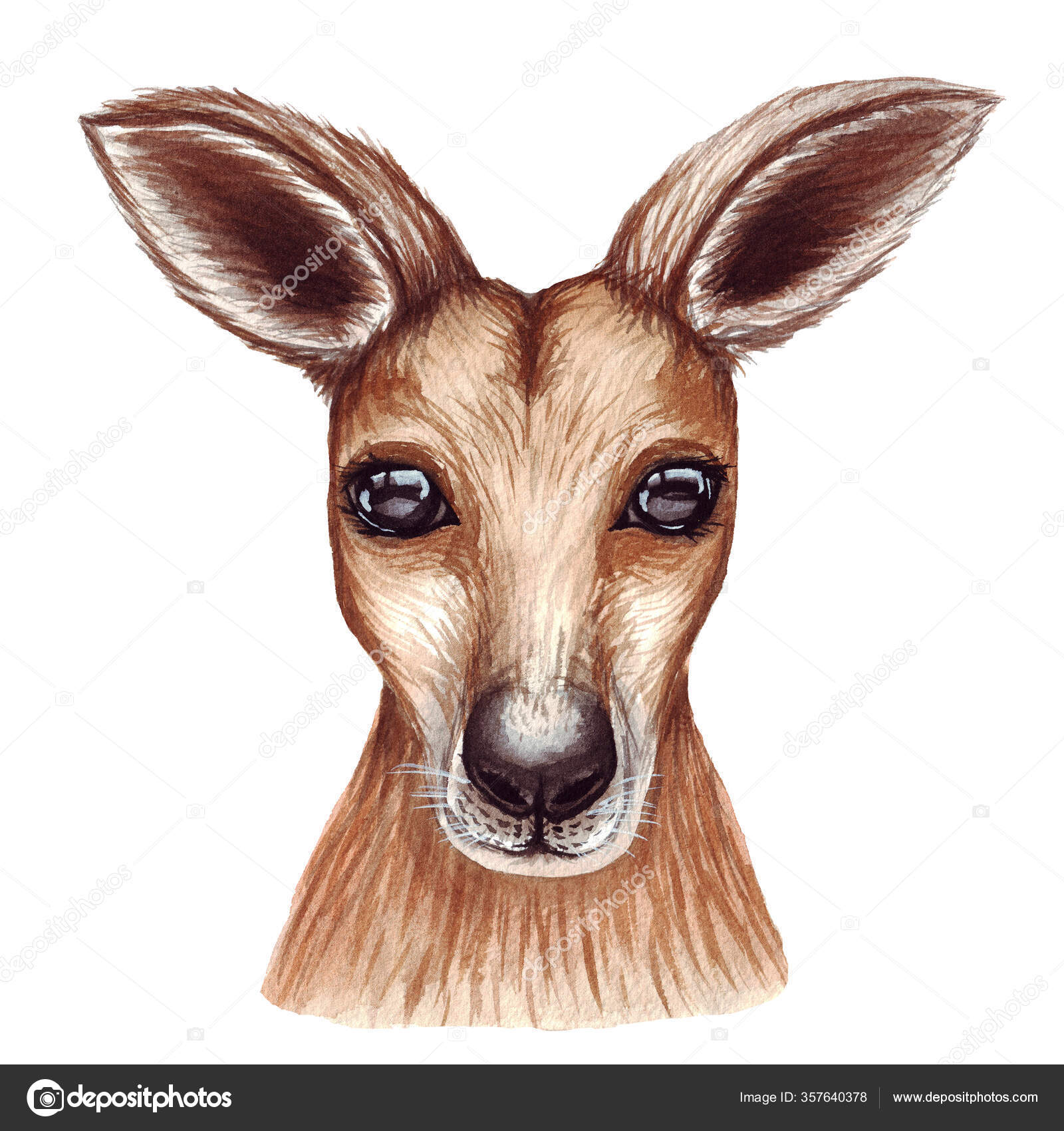 Cute lovely watercolor illustration of kangaroo face. Baby shower ...