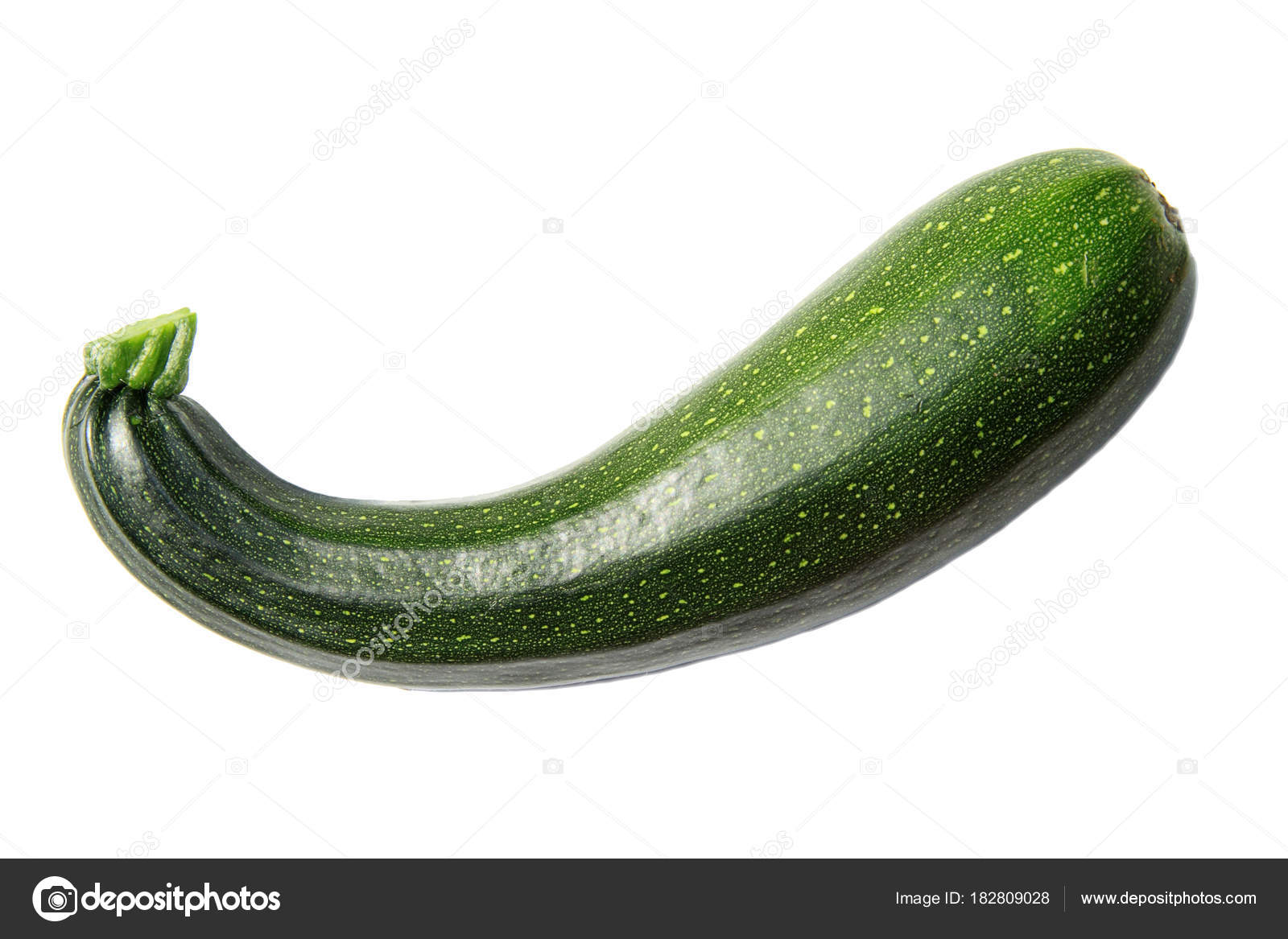 Zucchini Courgette Same Plant Vegetables Courgettes Smaller Younger ...