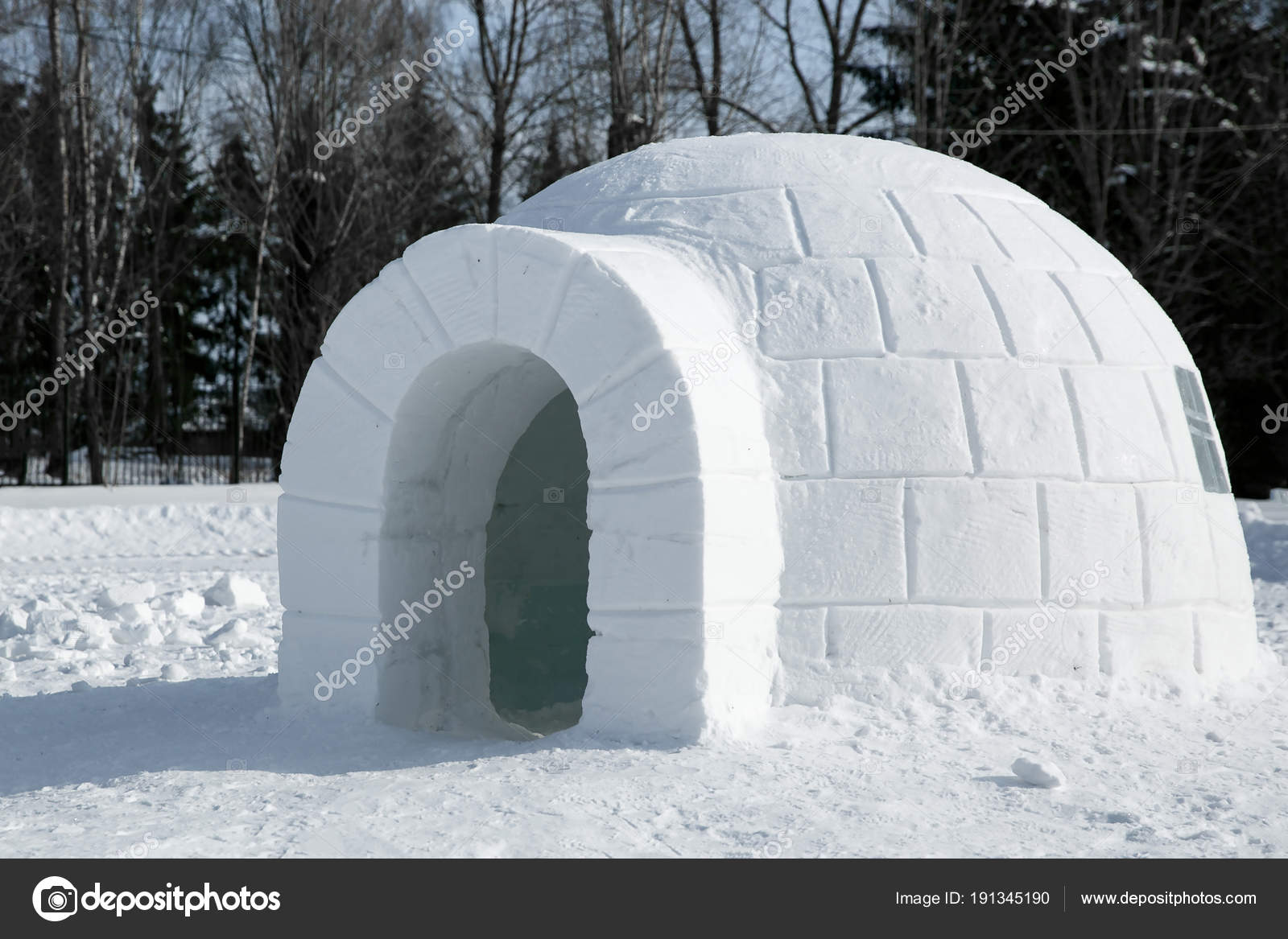 Eskimos House Inside