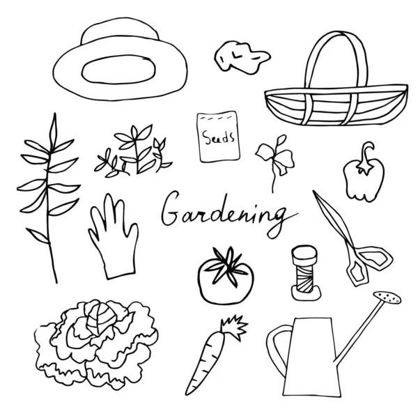 Vegetable Garden Clip Art Black And White