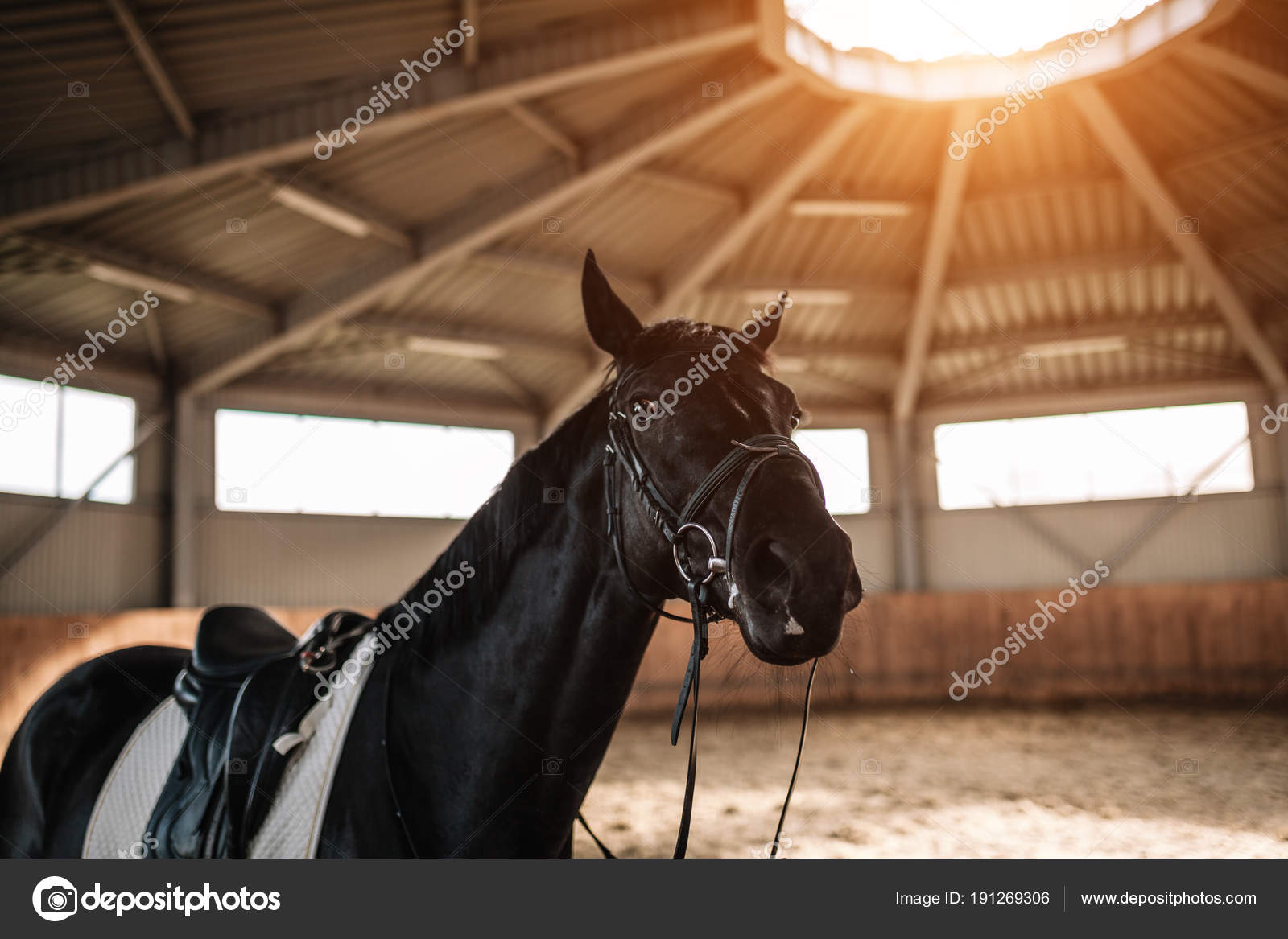 Horse stables saddle close up with sunlight on the background — Stock ...