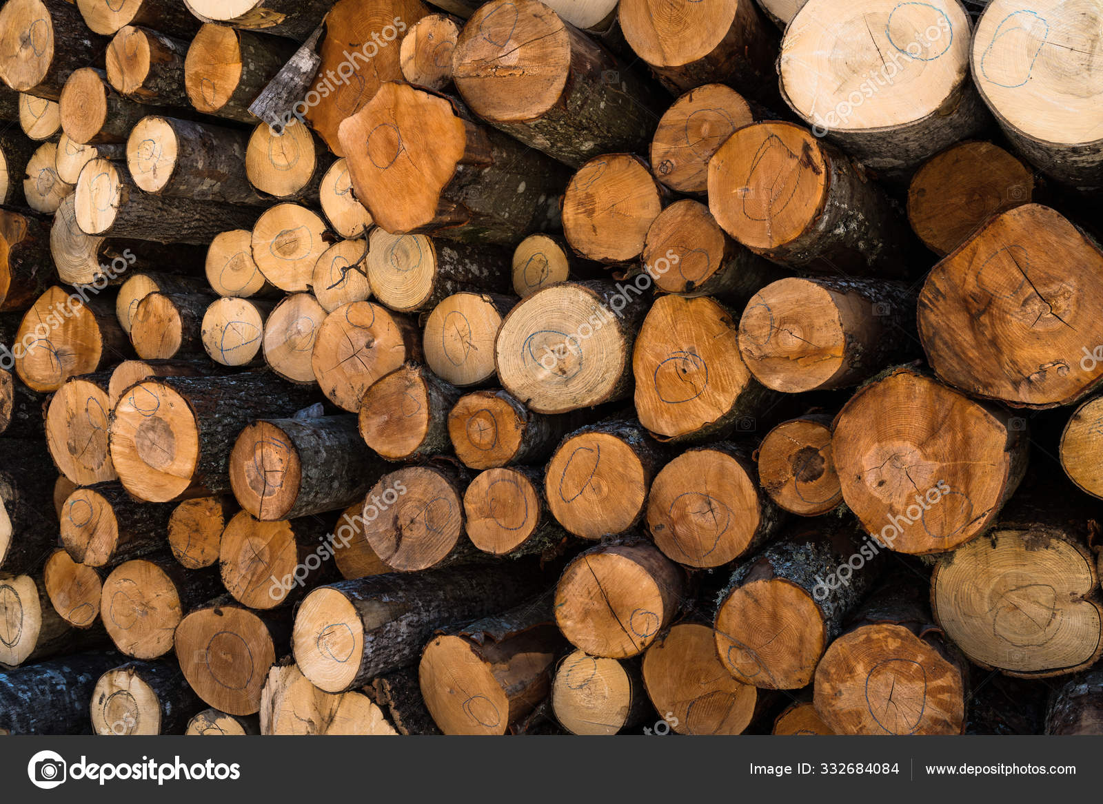 Stack Logs Alder Trees View Various Ends Logs Stack Brown Stock Photo ...