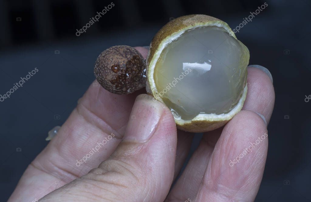 fruta larga dulce marrón madura 2024