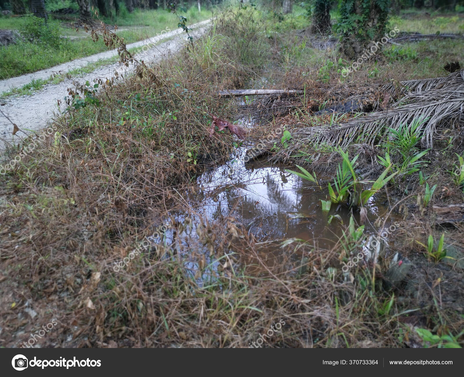 Simple Drainage System Estate — Stock Photo © sweemingyoung #370733364