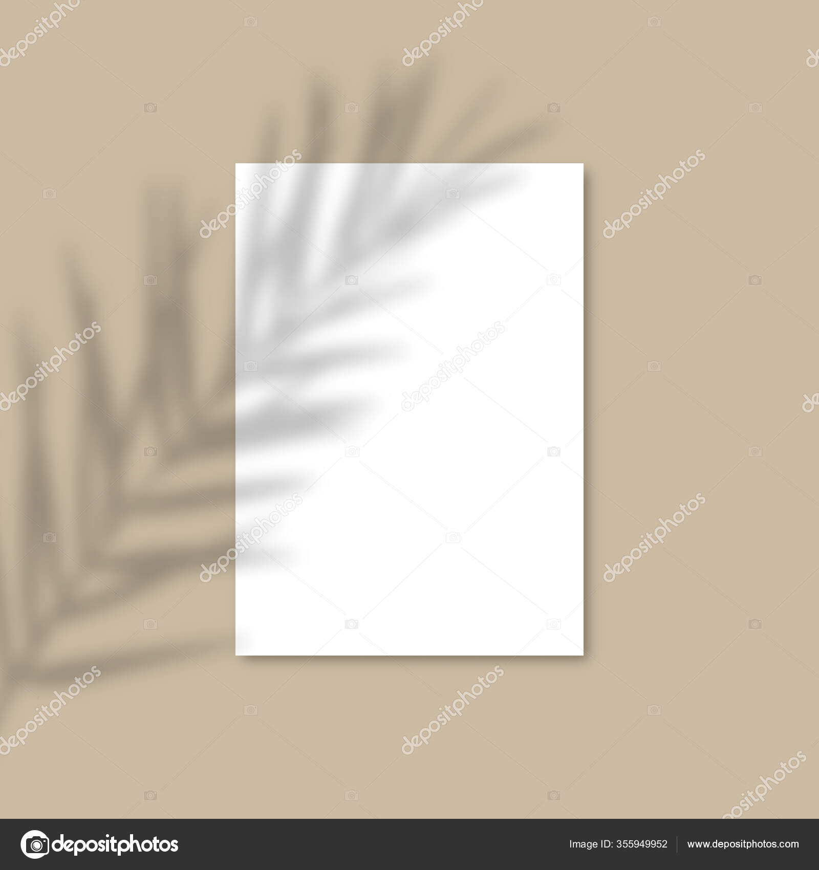 Shadow Overlay Palm Leaf Vector Mockup Hojas Papel Vector Sombra Vector ...