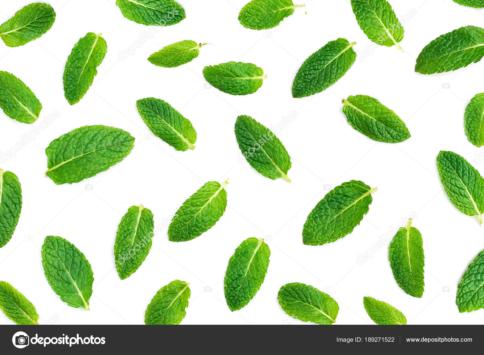 Fresh Mint Leaves Pattern Isolated White Background Flat Lay Macr Stock ...