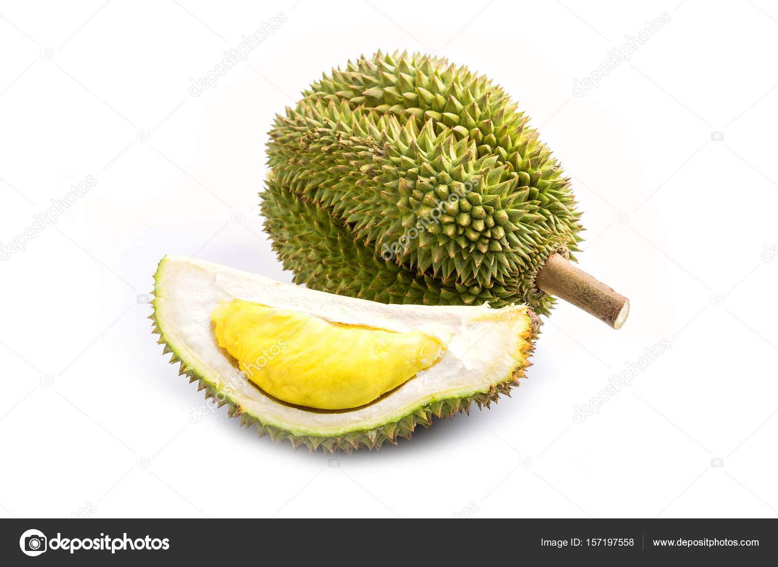 King Fruits Durian White Background Stock Photo by ©aedkaDPS 157197558