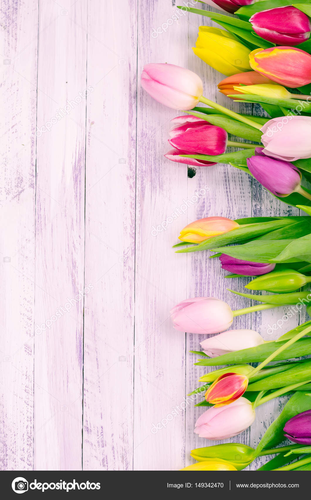 Wood background with spring colorful tulips Stock Photo by ©Depiano ...