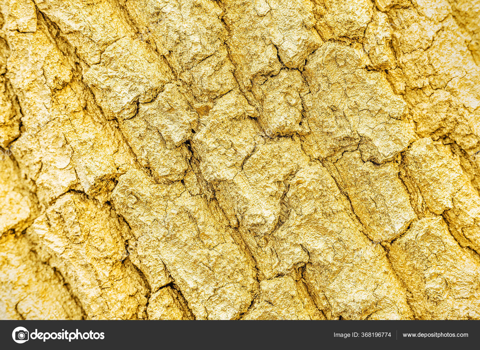 Gleaming Golden Tree Bark Background Gold Wood Texture Stock Photo by ...