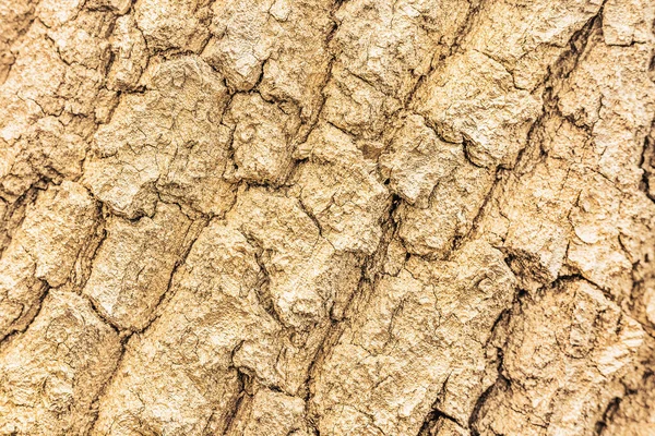 Wooden background with bronze gold. Tree bark covered with paint ...