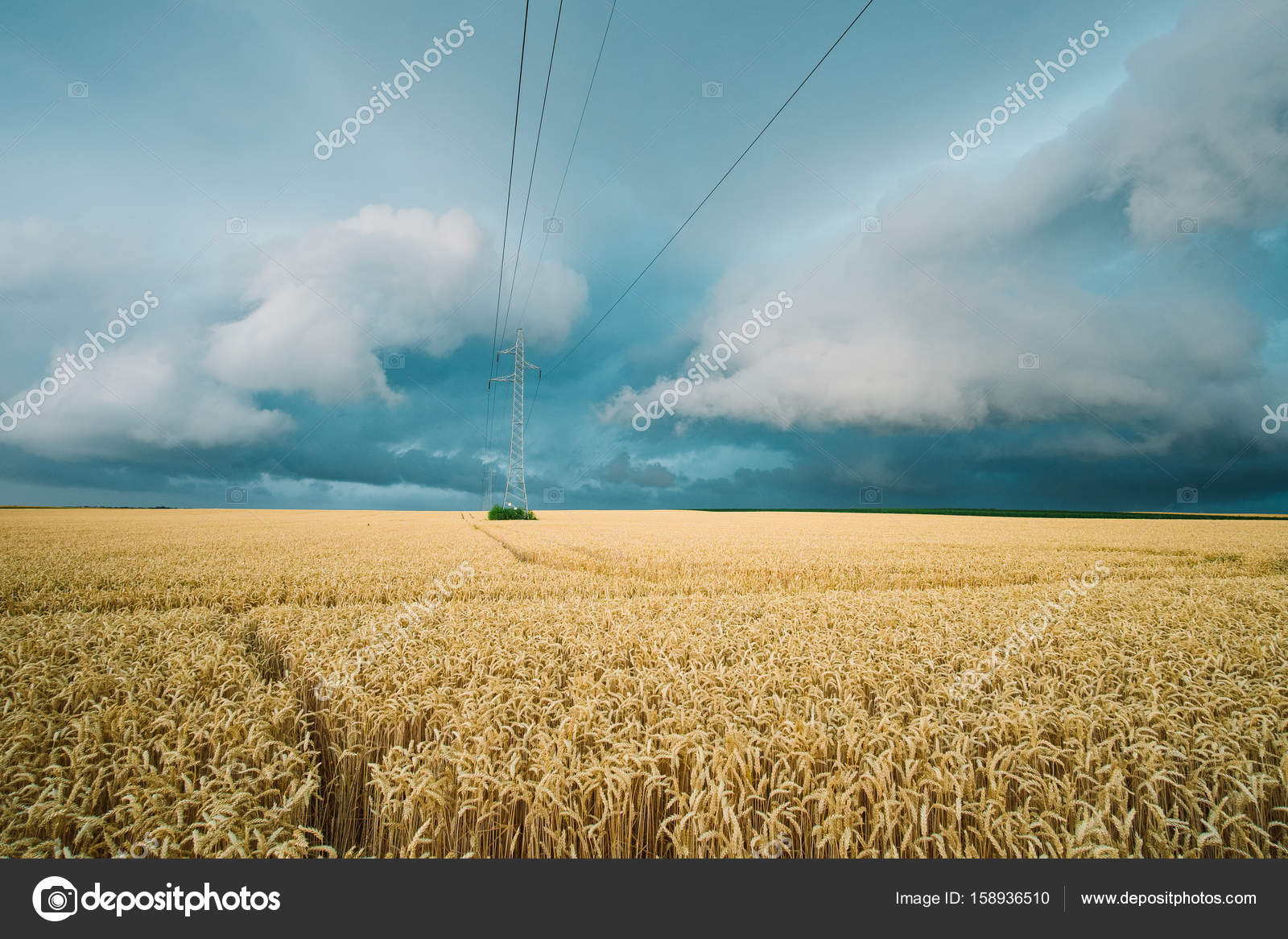 Storm over the wheat field Stock Photo by ©linux1987 158936510