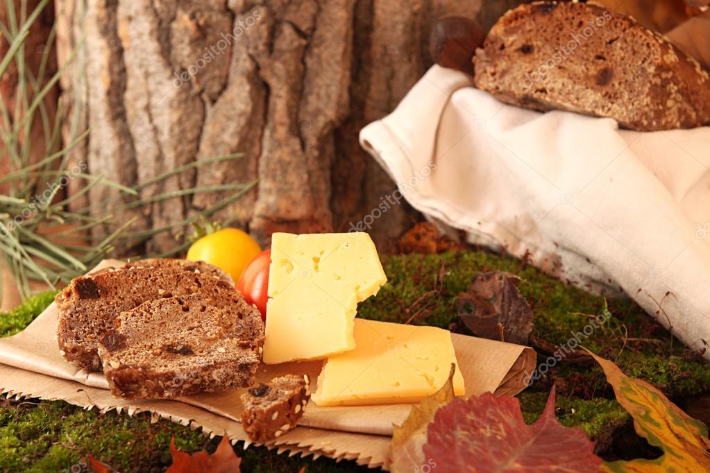 Picnic in forest. Rye bread, cheese slices and tomatoes Stock Photo by ...