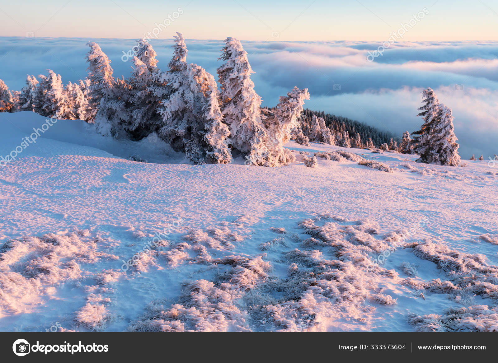 492 Feet High Jefferson Oregon's Second Tallest Mountain Mount ...