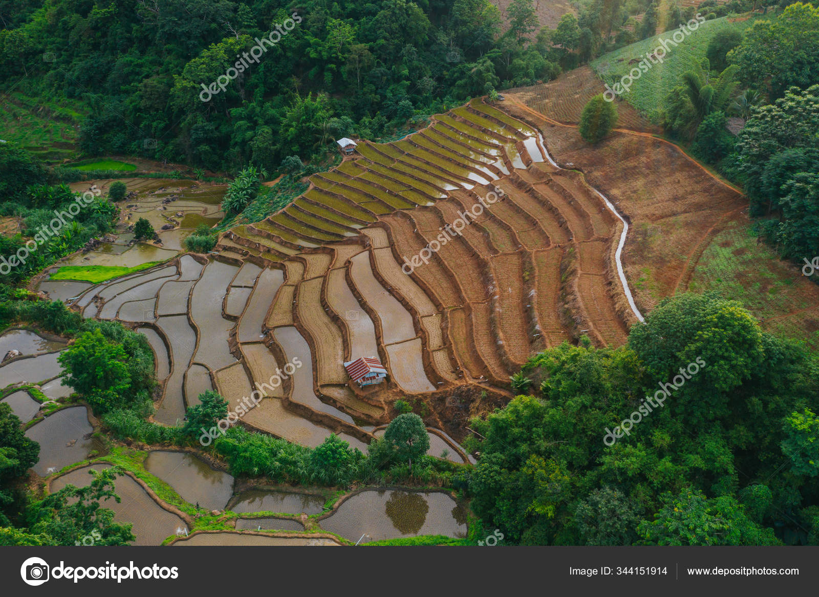 Aerial View Beautiful Freshly Planted Rice Terraces Rainy Season ...