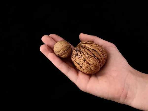 Magic nut Stock Photos, Royalty Free Magic nut Images | Depositphotos