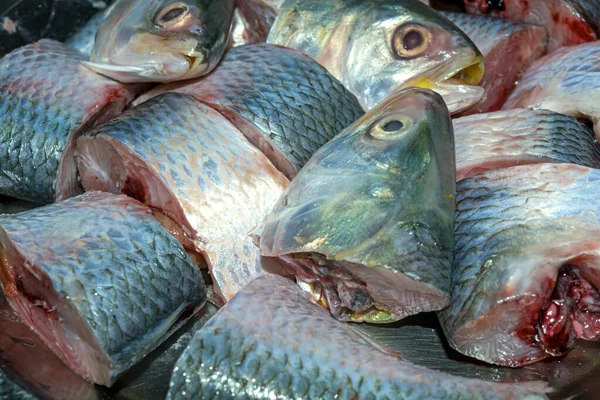 Toli shad Stock Photos, Royalty Free Toli shad Images | Depositphotos