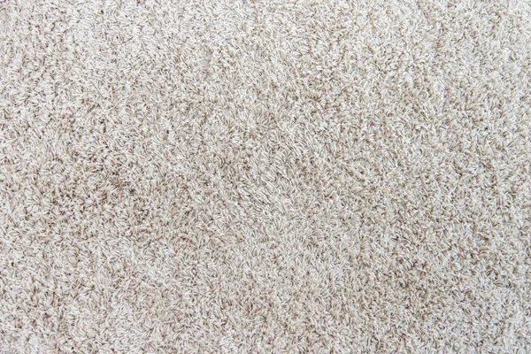 Beige Carpet Texture