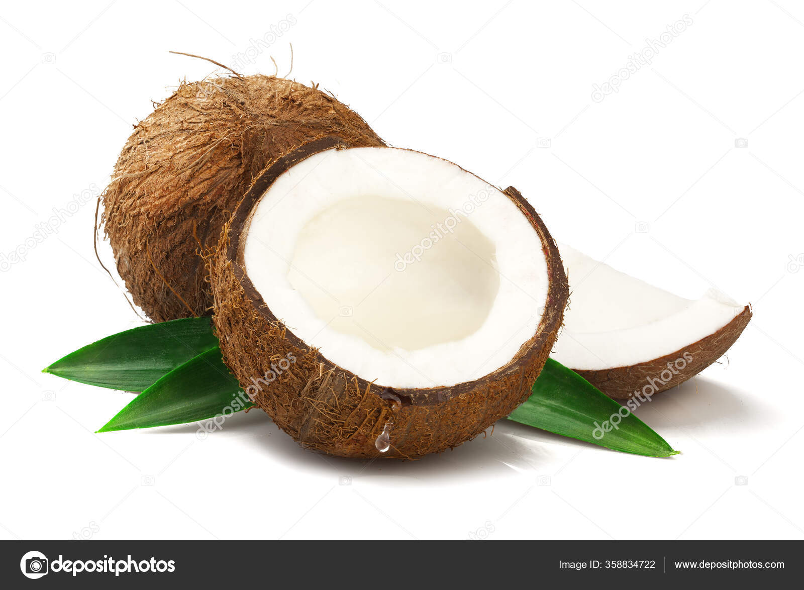 Ripe Coconut Leaves Isolated White Background Stock Photo by ©daimos ...