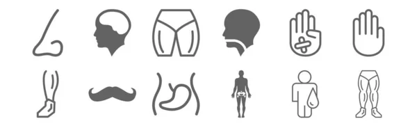 12,152 Erkek burun Vector Images | Depositphotos