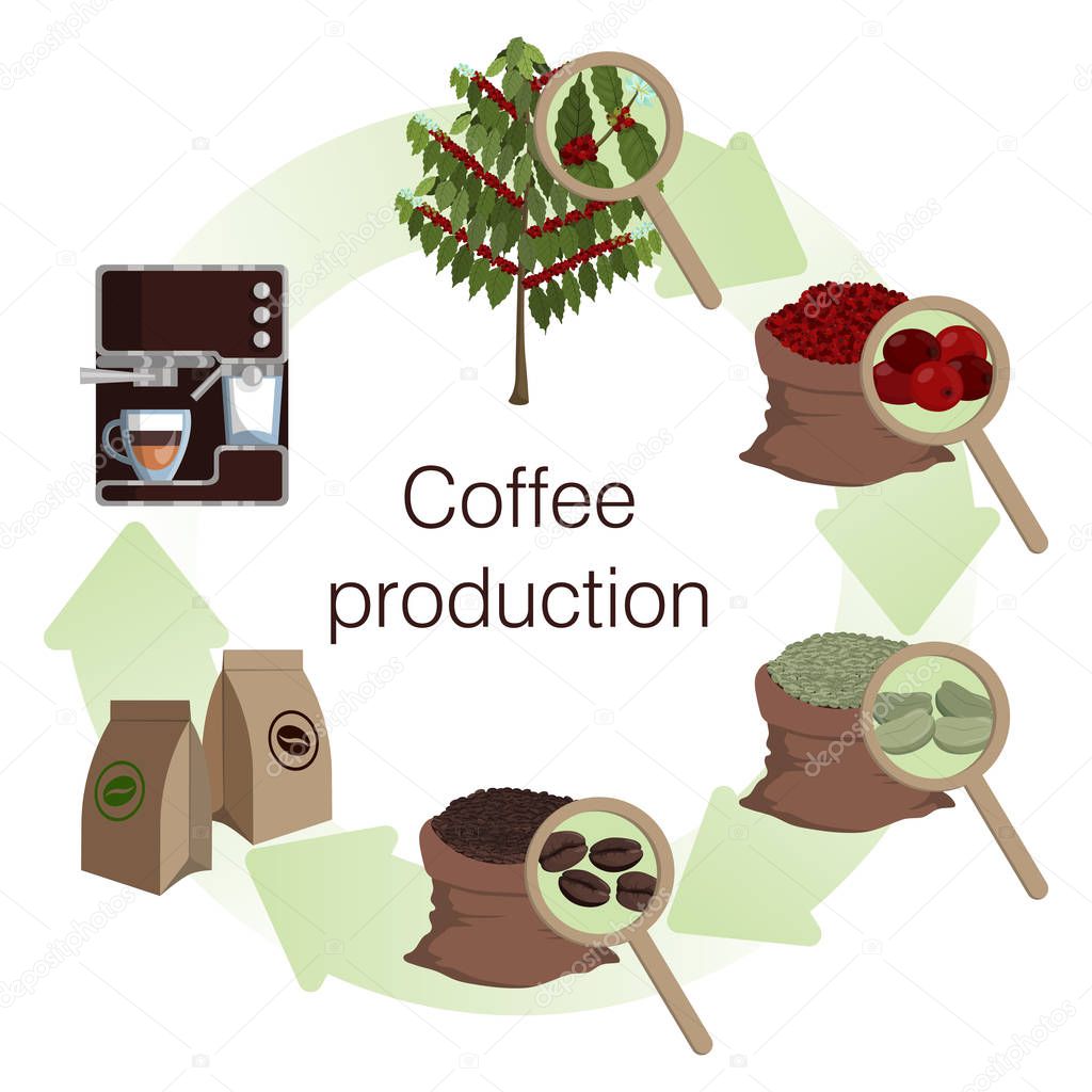 Proceso De Produccion Del Cafe – Eroppa