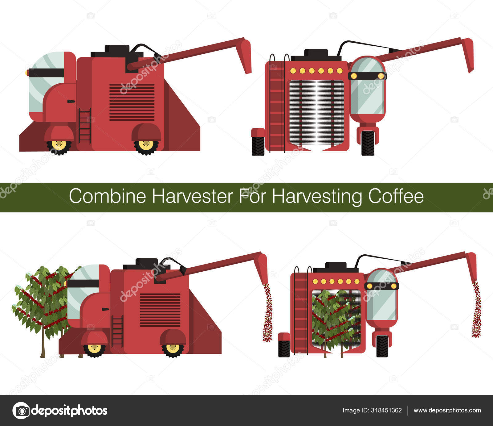Combine harvester for mechanized harvesting coffee berries in the ...