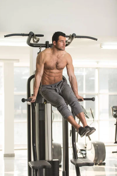Chest And Triceps Exercise on Parallel Bars Stock Photo by ©ibrak 140566996